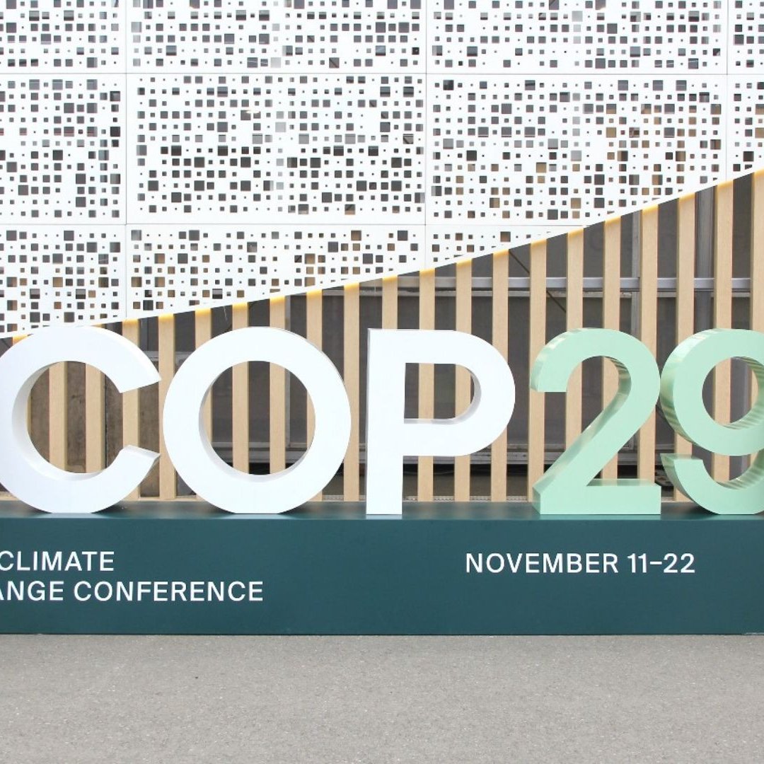 COP29 will be remembered as the 'great finance escape' | World Animal ...