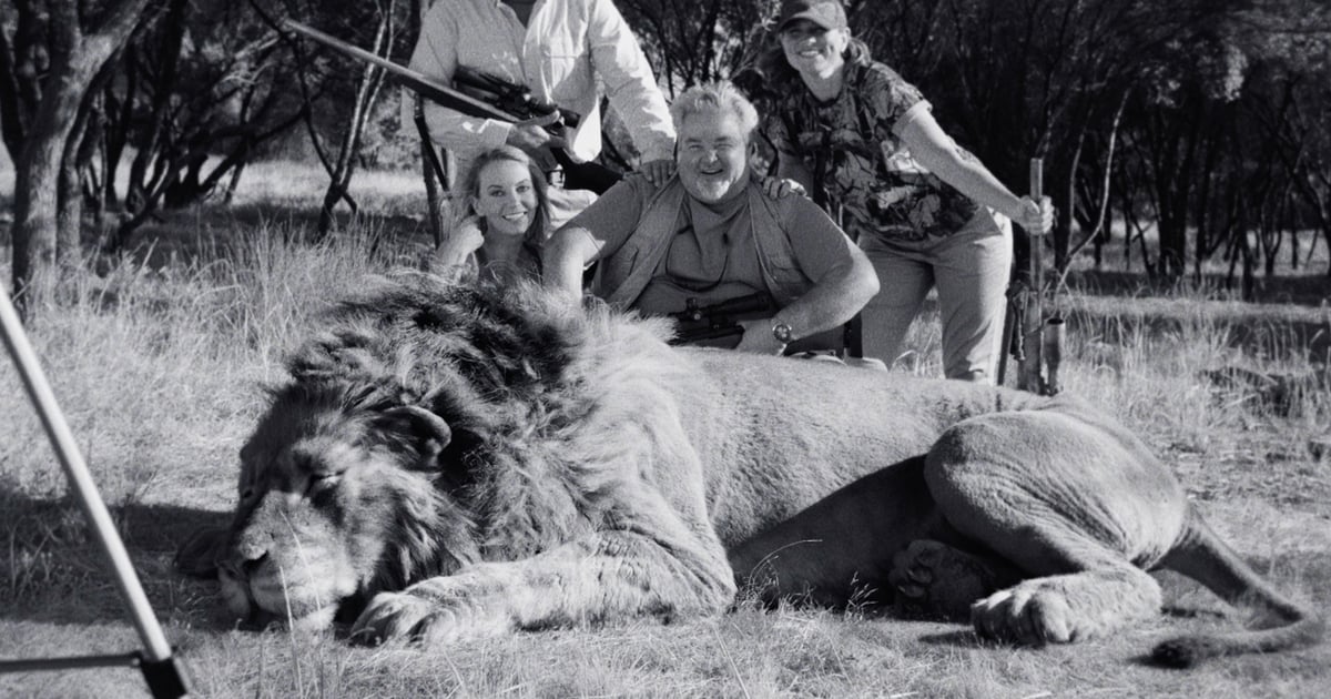 The Impact of Trophy Hunting on Wildlife - World Animal Protection