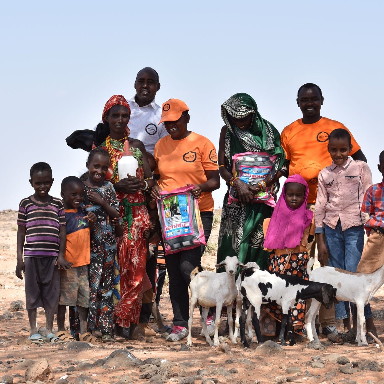 About Us - World Animal Protection - Our Mission & Work