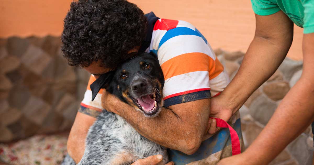 Animal Awareness Days and Sentience - World Animal Protection Campaign