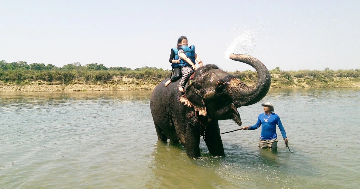 riding elephants in india