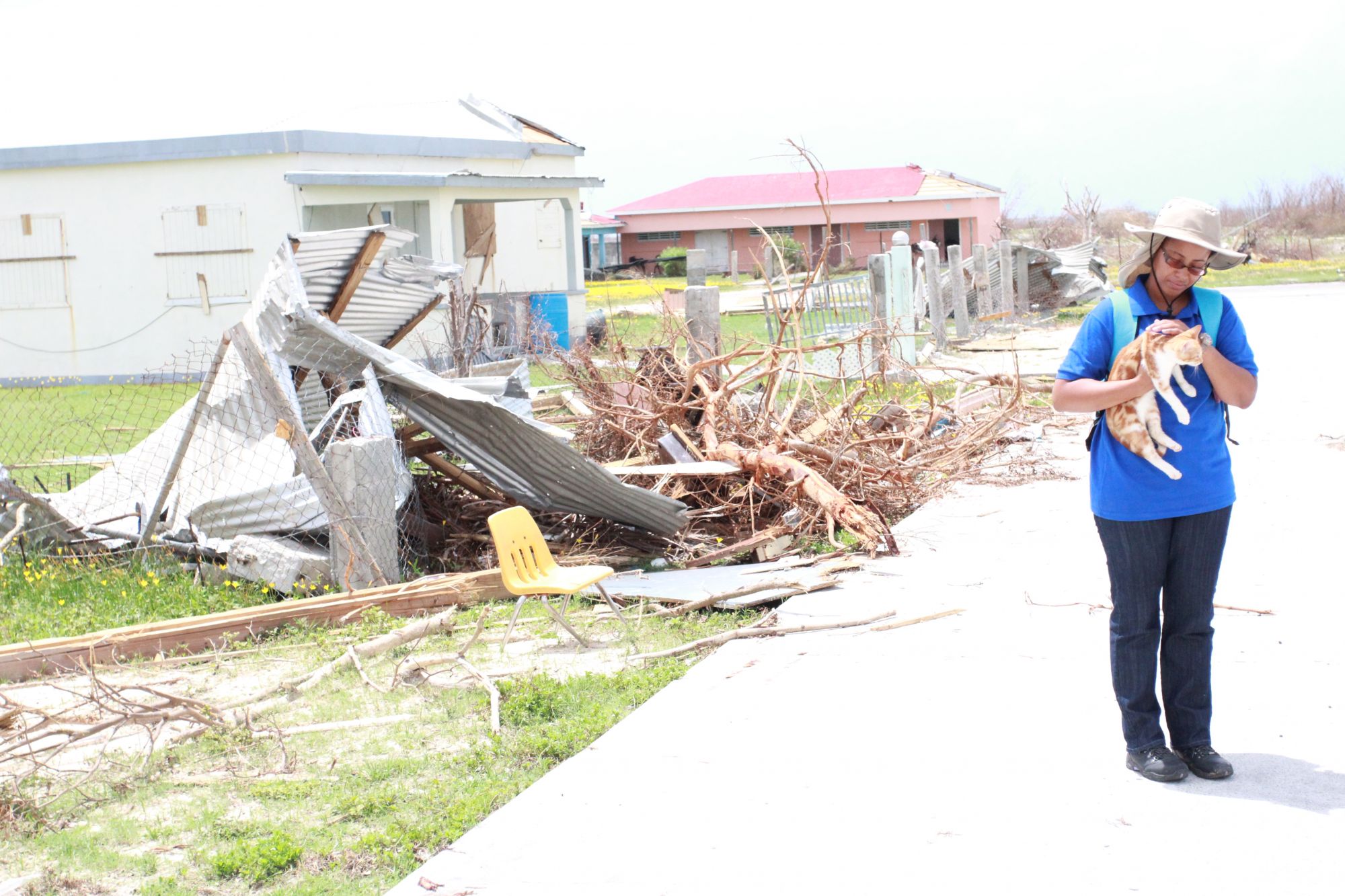 Saving animals in natural disasters will help save people’s lives