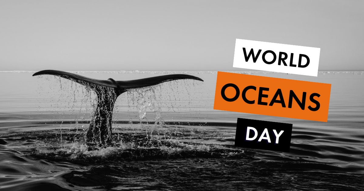 World Oceans Day: Promoting Marine Conservation