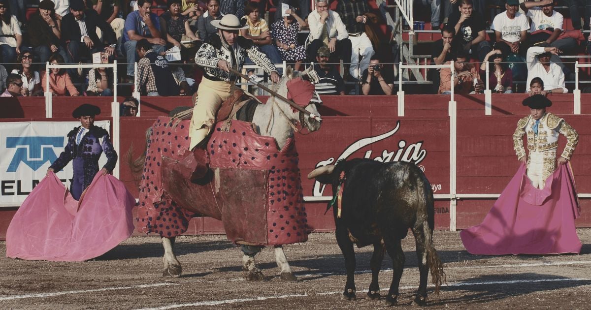 Mexico City bans violence in bullfights: a key step toward ending them