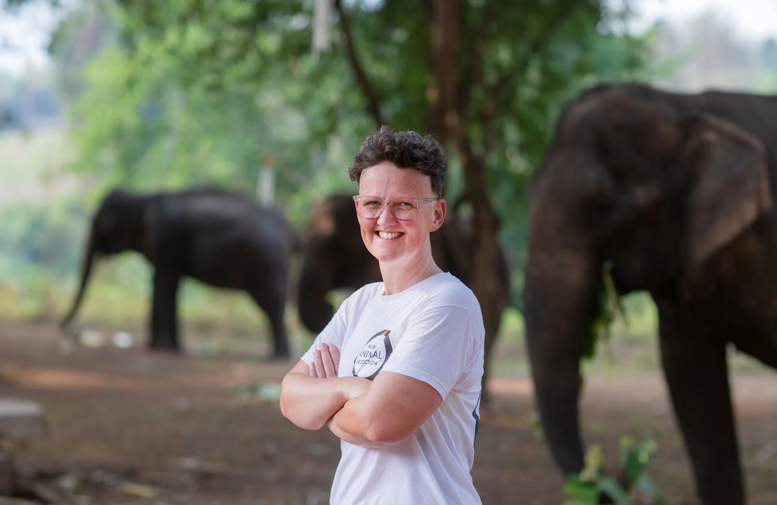 Meet the CEO - World Animal Protection Leadership & Vision